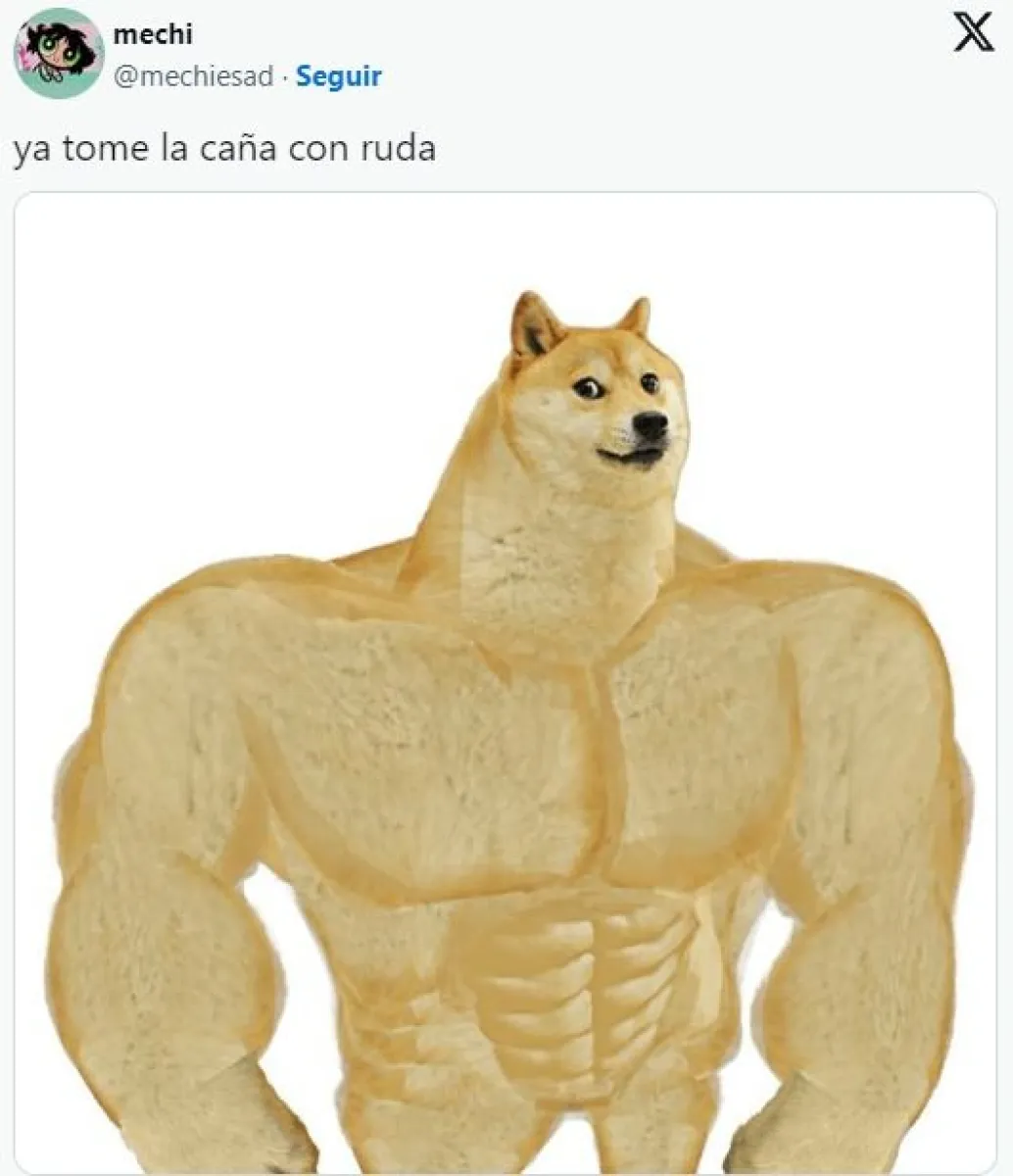 Estos son los mejores memes en el Día de la Pachamama | 0264Noticias