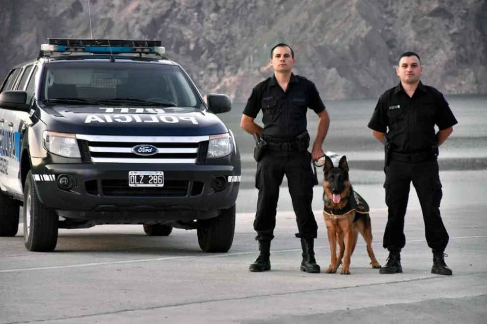 Se jubiló Kuma, el perro antinarcóticos que fue clave en más de 100 ...